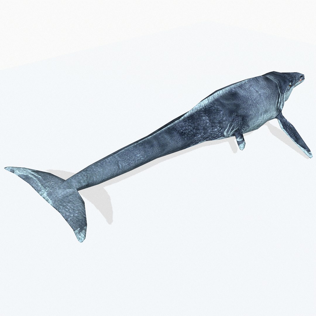 3ds Basilosaurus Marine