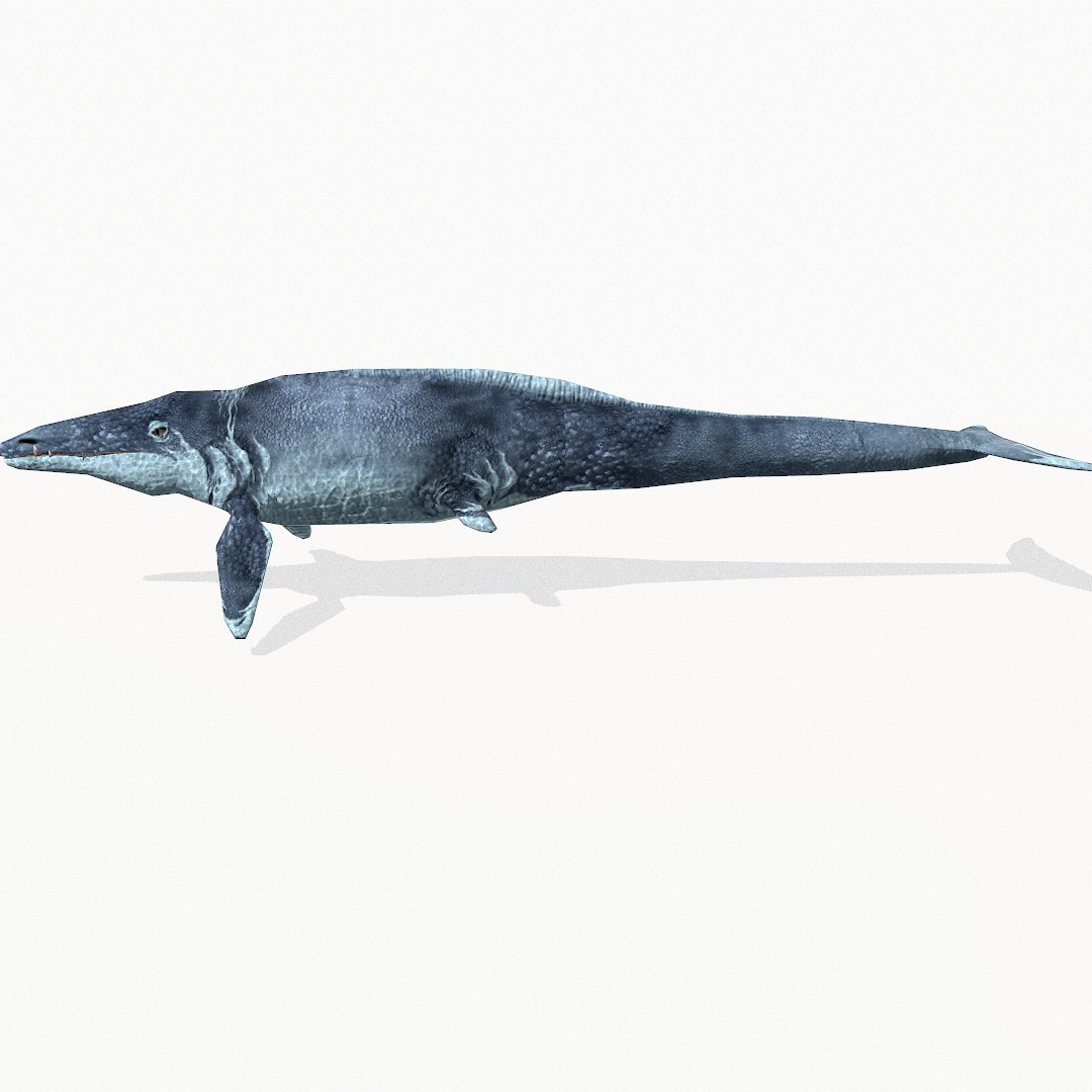 3ds Basilosaurus Marine
