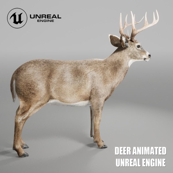 Deer 3D Models for Download | TurboSquid