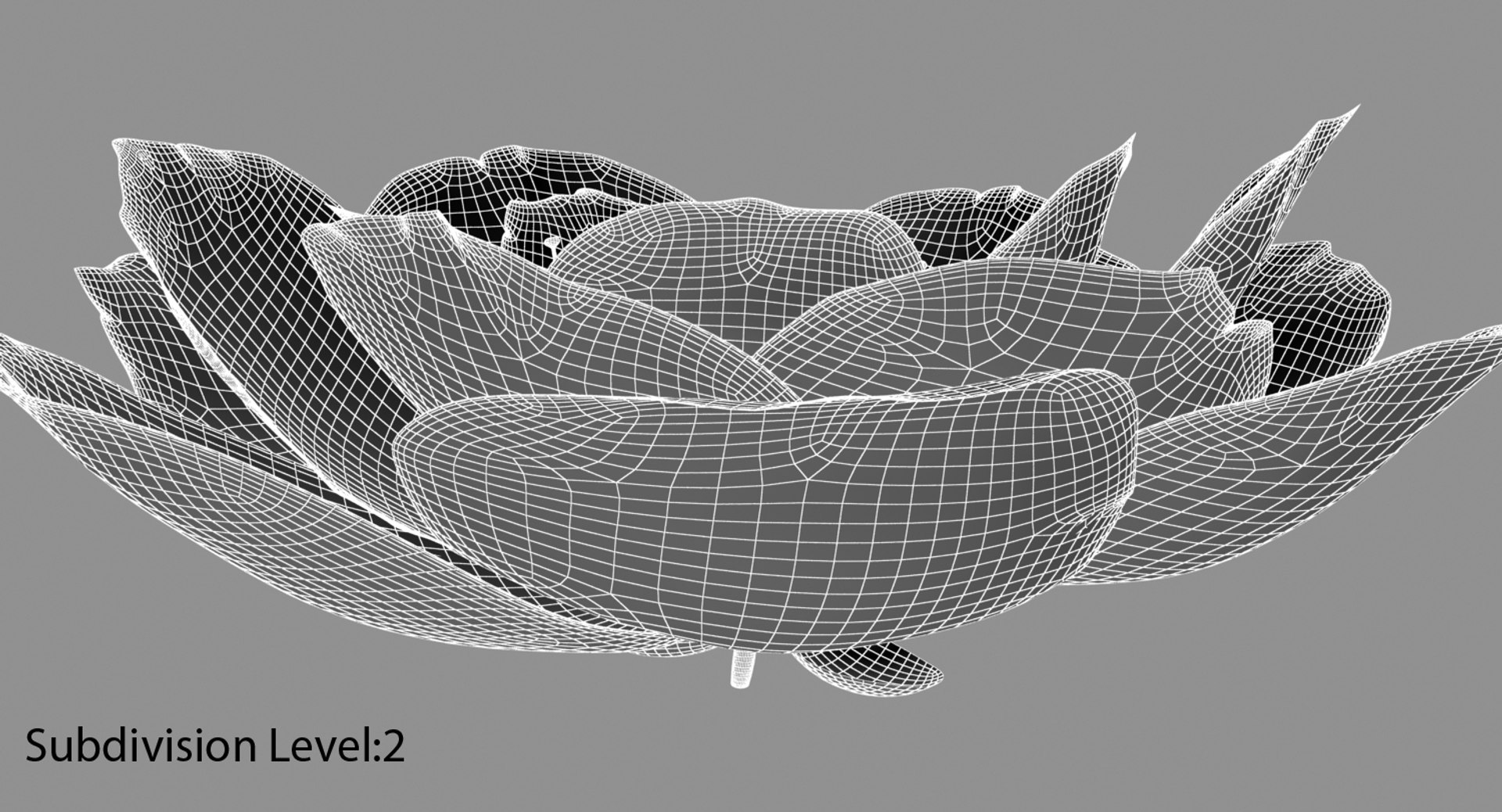 Flower 3D Model - TurboSquid 1262025