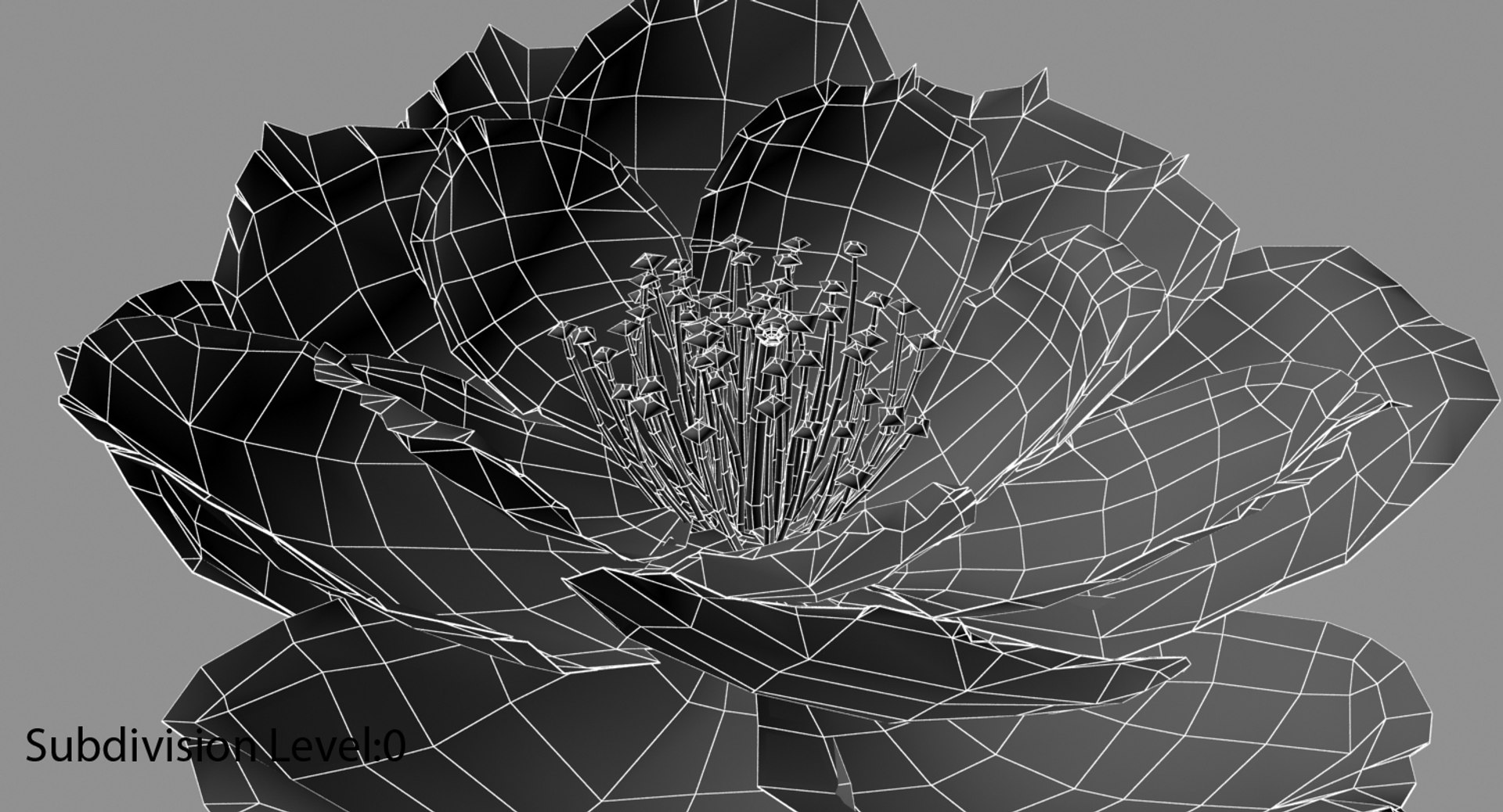 Flower 3D Model - TurboSquid 1262025