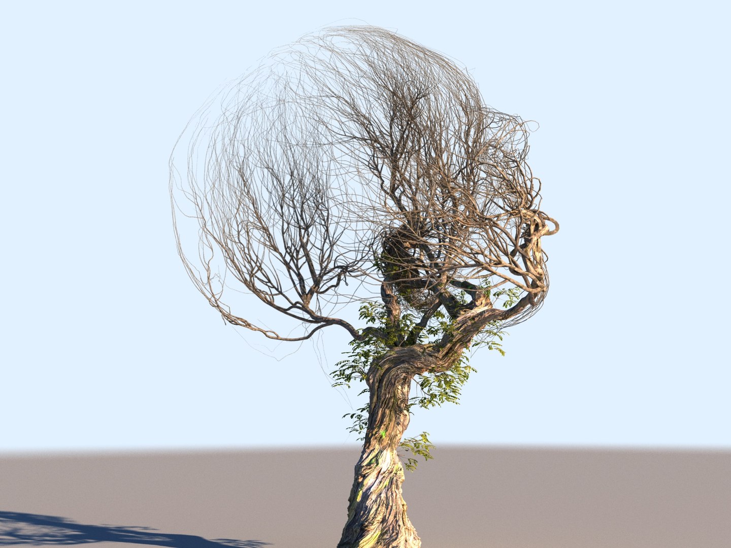 3D Tree Head Hd Model - TurboSquid 1287328