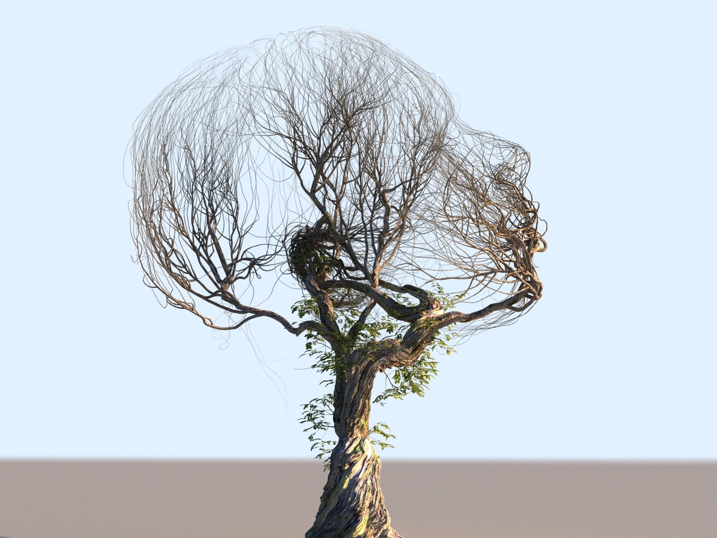 3D Tree Head Hd Model - TurboSquid 1287328
