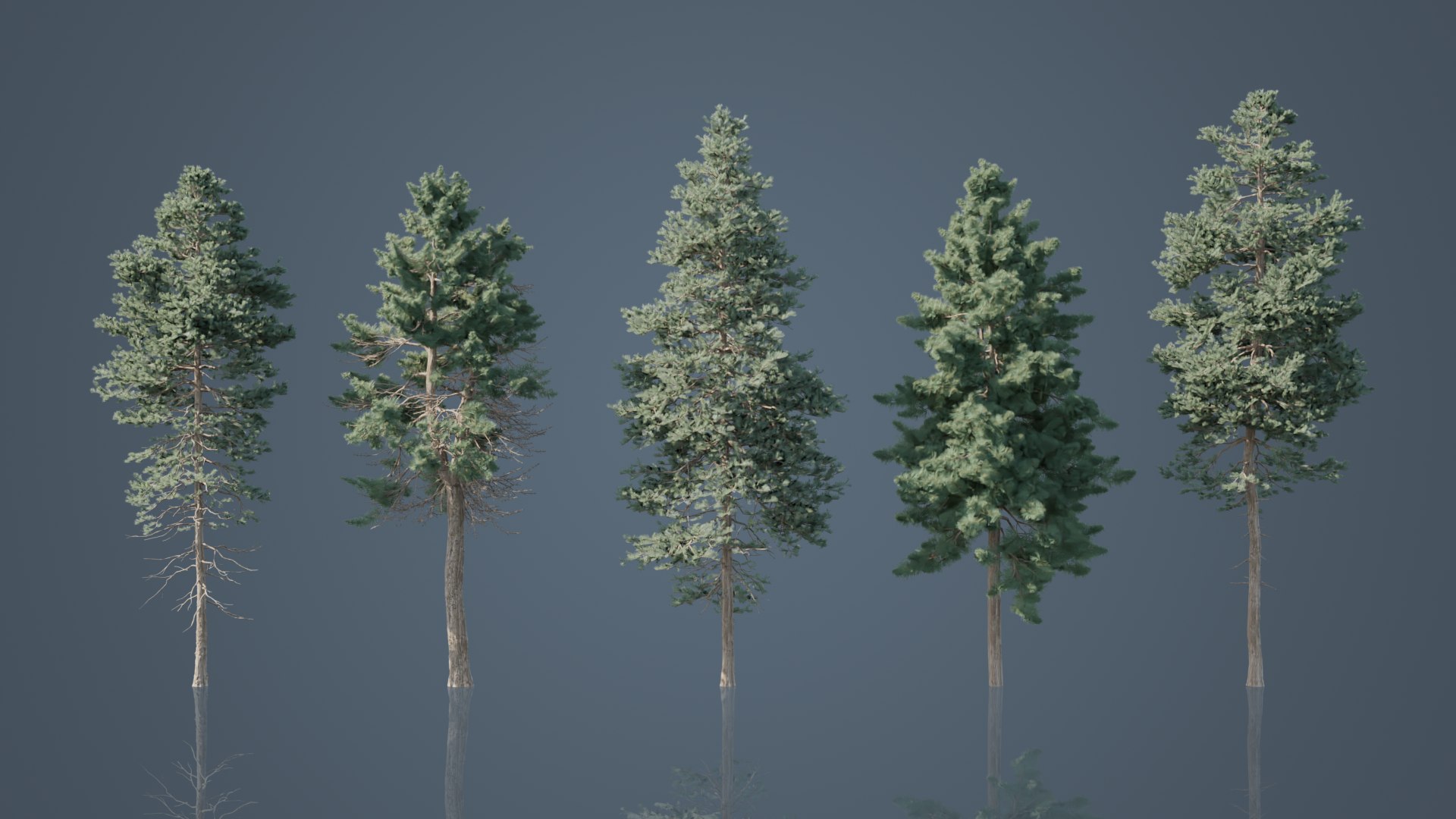 3D Pine Trees Nature - TurboSquid 1697322