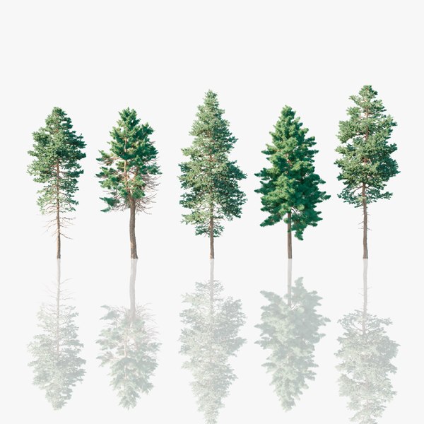 Pine Tree Blender Models for Download | TurboSquid
