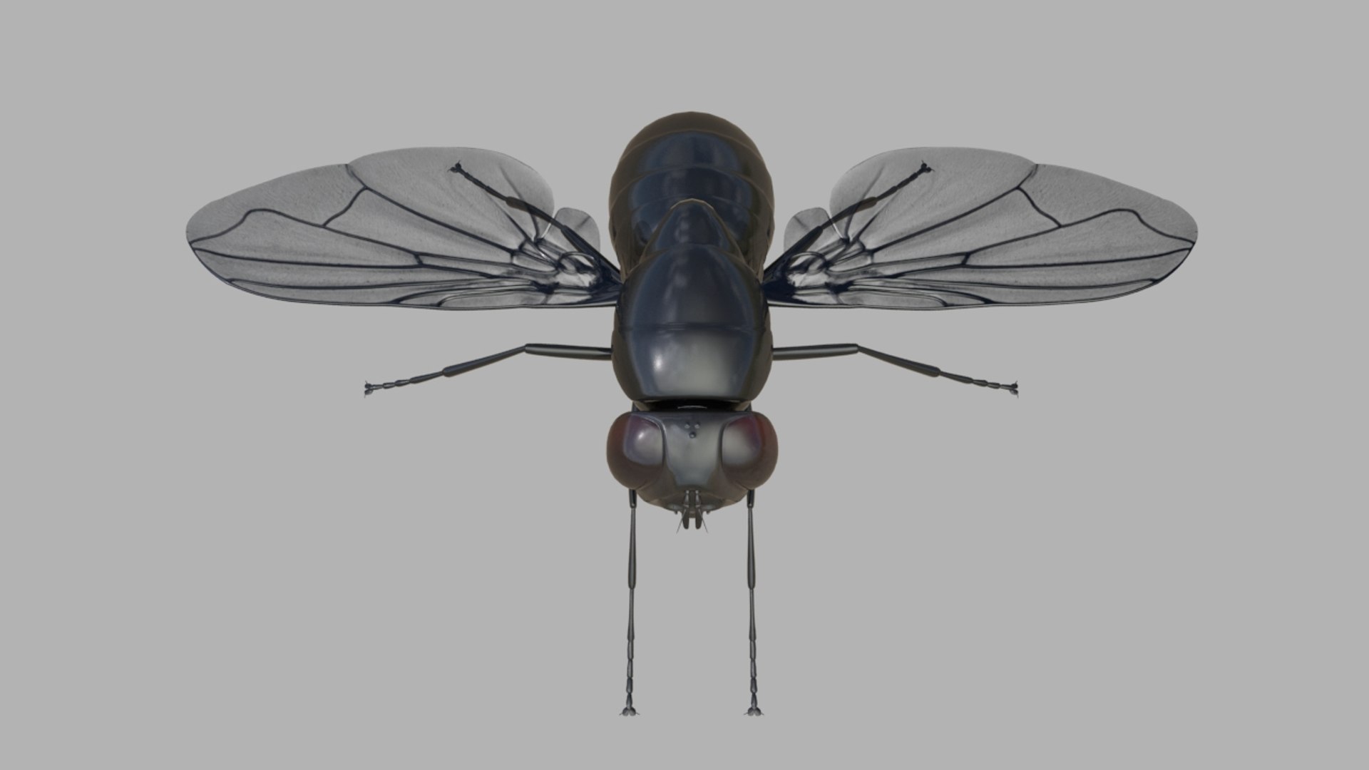 3D Animations - TurboSquid 1413365