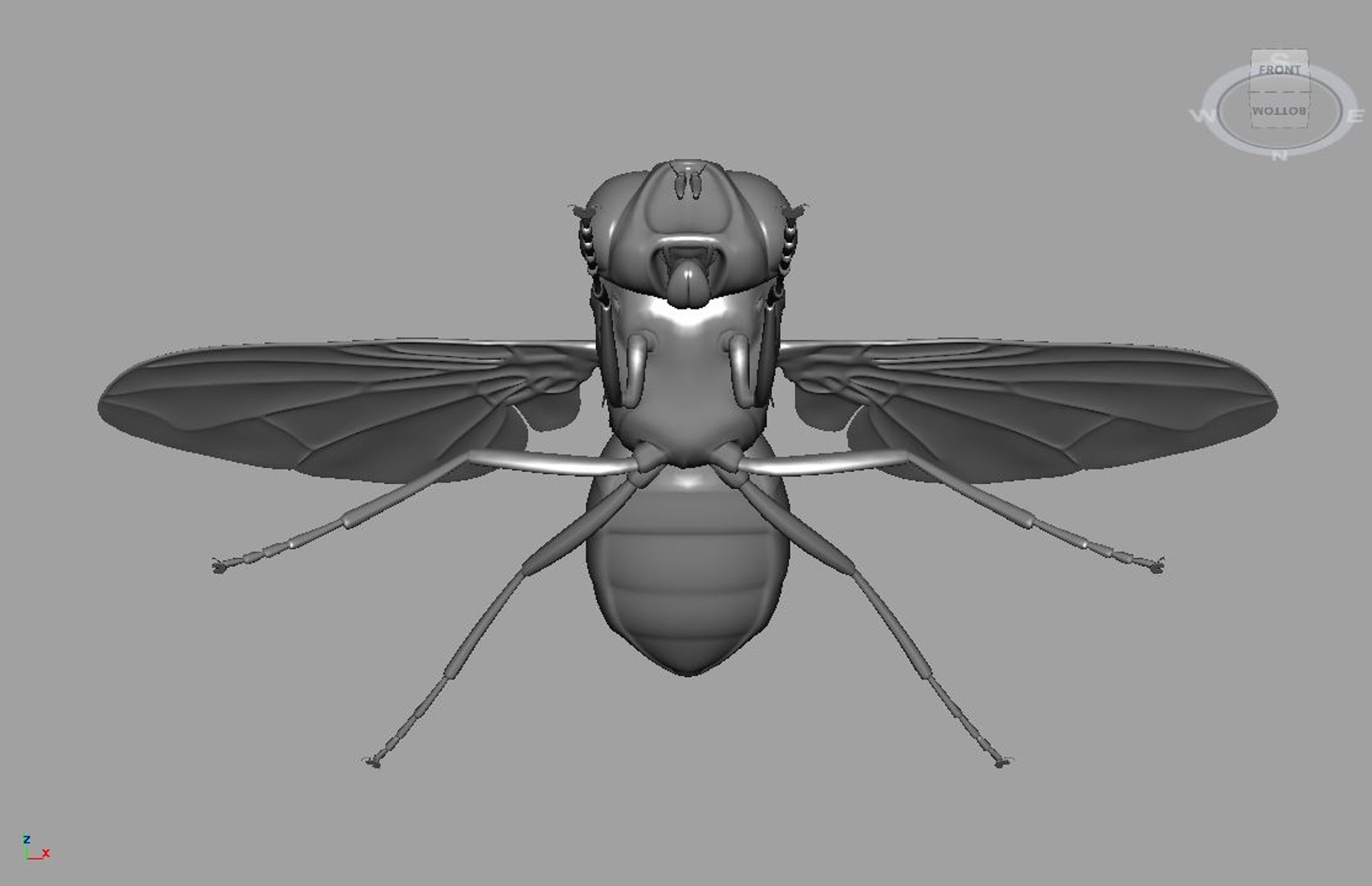 3D Animations - TurboSquid 1413365