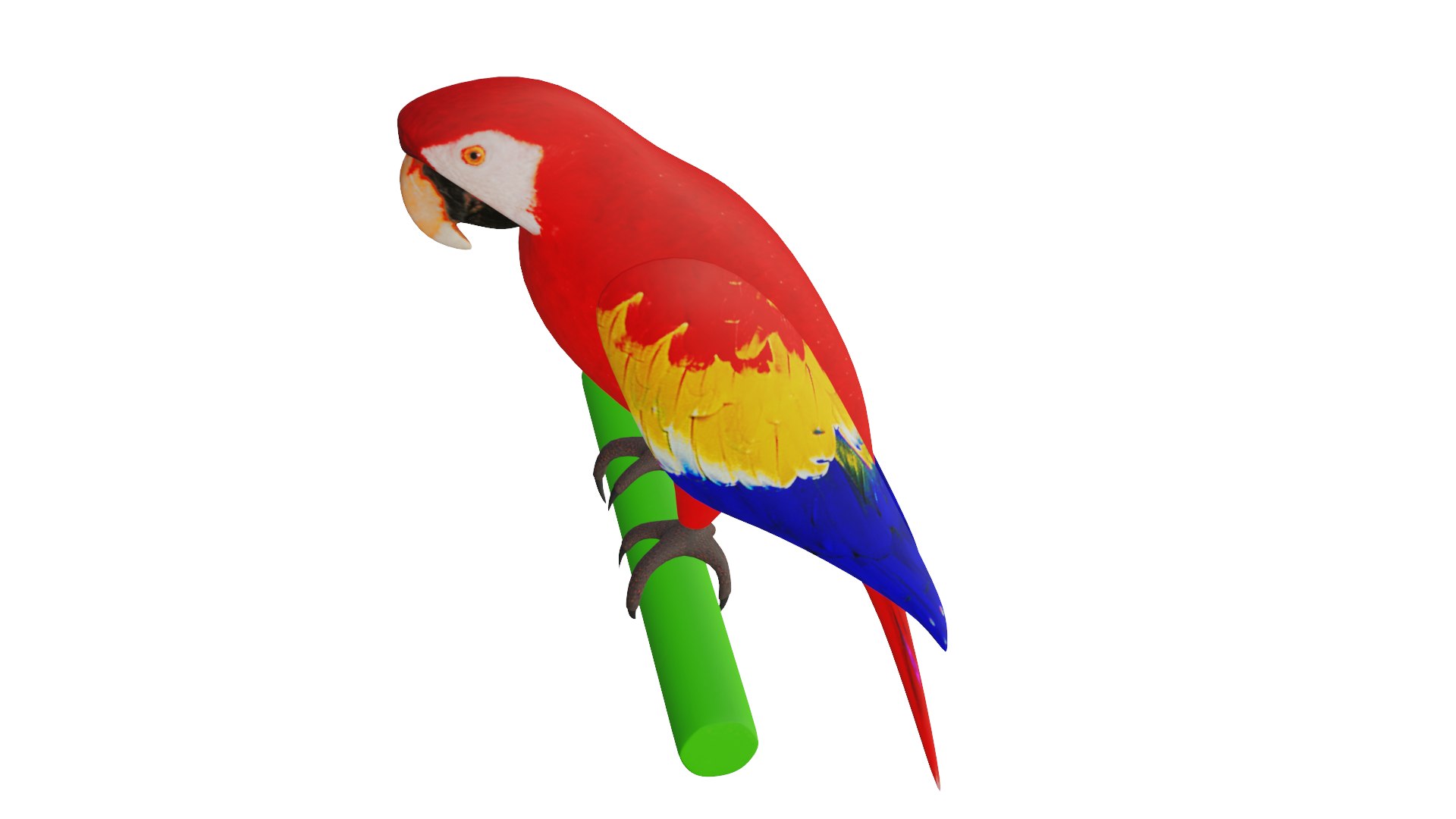 3D Parrot - TurboSquid 1880479