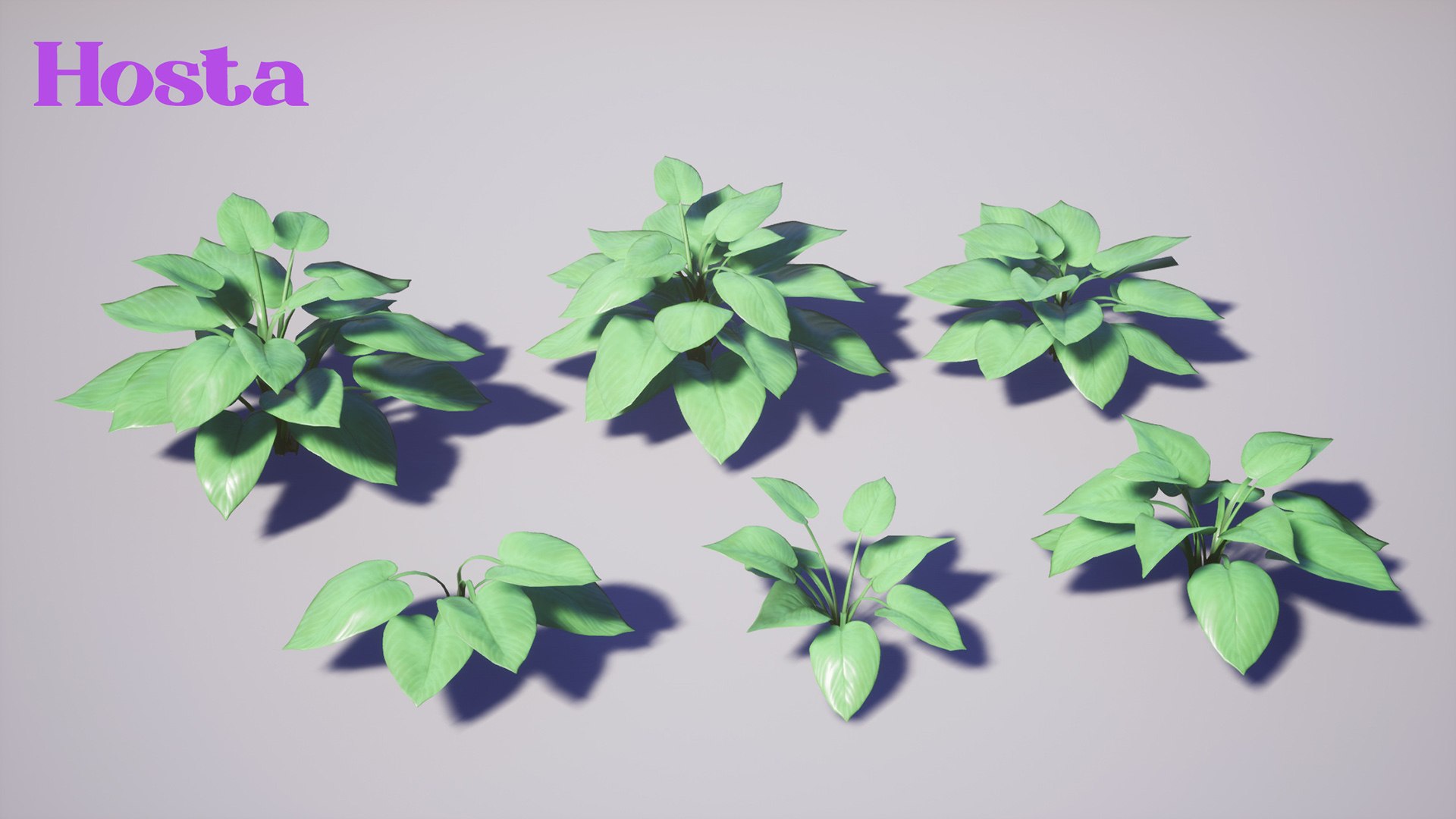 Garden Foliage Pack 3D Model - TurboSquid 2086713