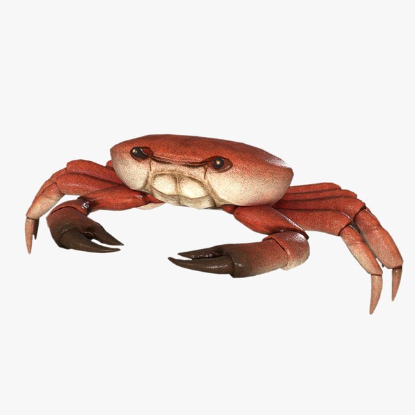 modèle 3D de Crabe de mer - TurboSquid 1547957
