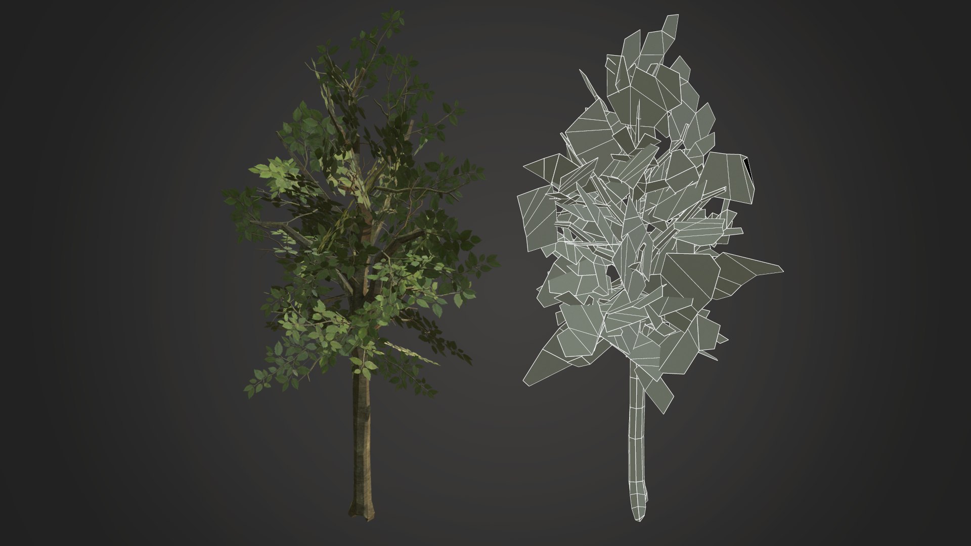Tree Leaf 3D Model - TurboSquid 1682886