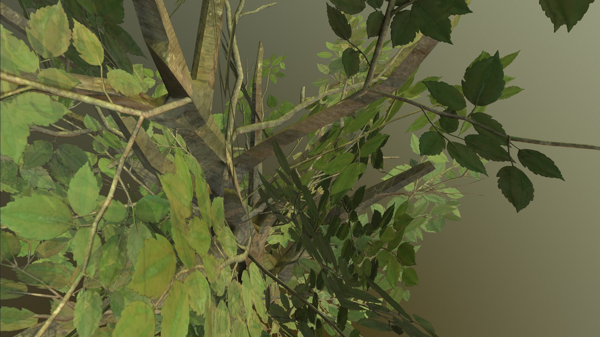 Tree Leaf 3D Model - TurboSquid 1682886
