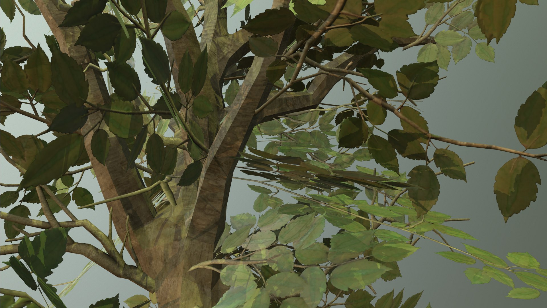 Tree Leaf 3D Model - TurboSquid 1682886