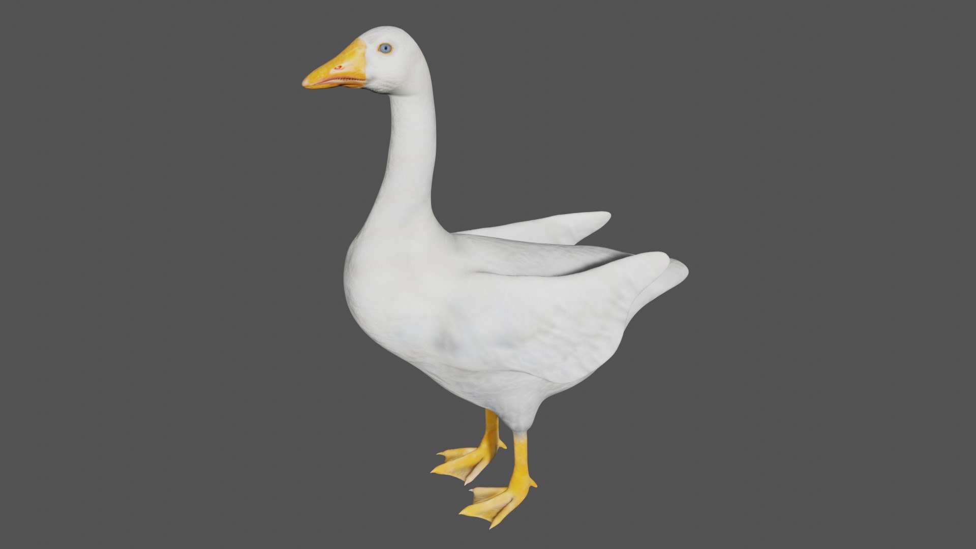 Goose Duck 3D Model - TurboSquid 1747781