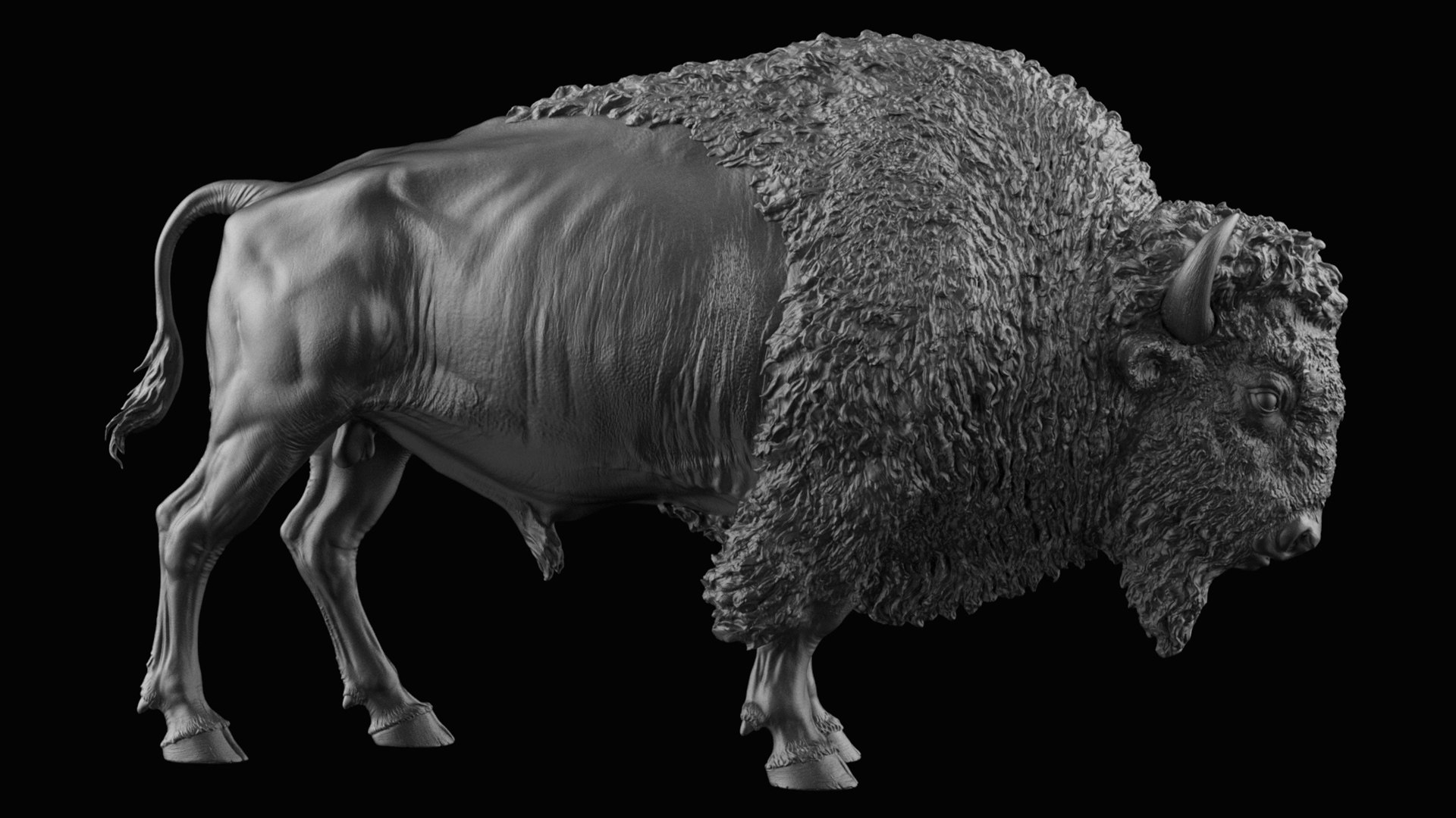 3D Bison - 3D Sculpting - TurboSquid 2315302
