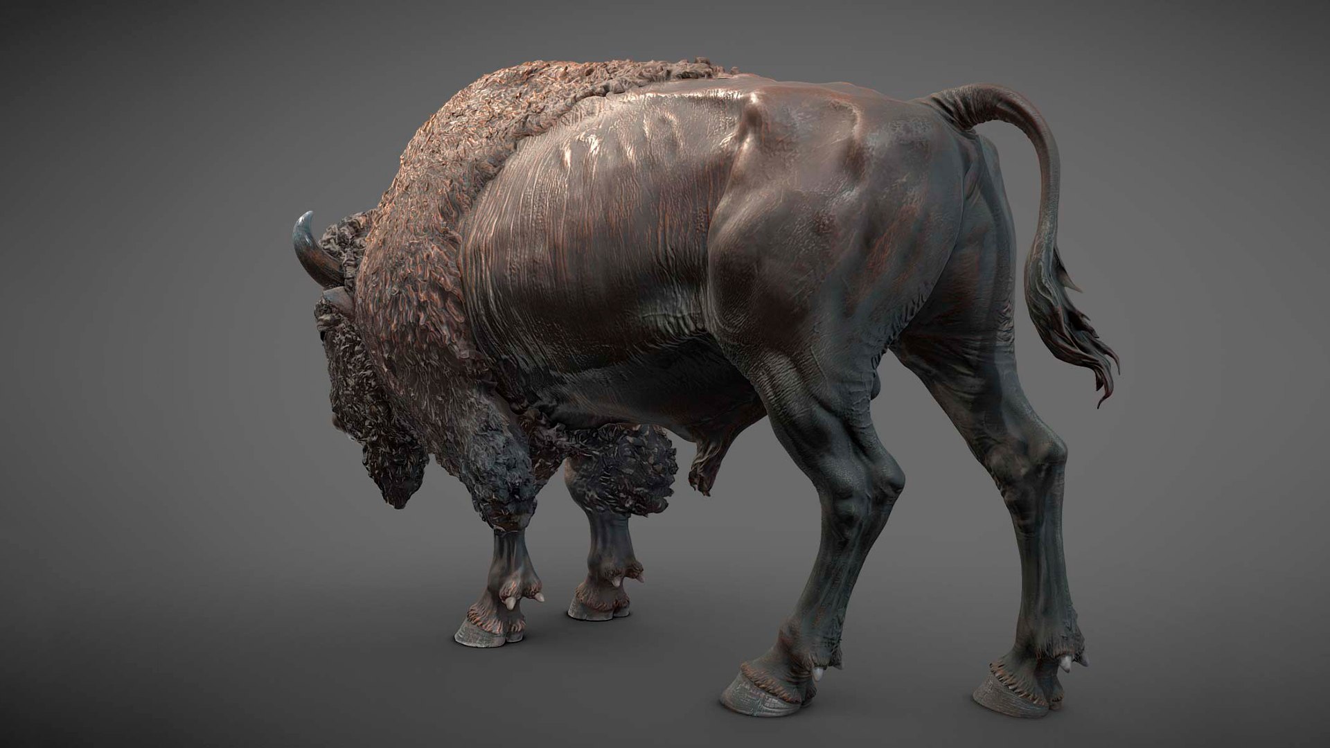 3D Bison - 3D Sculpting - TurboSquid 2315302
