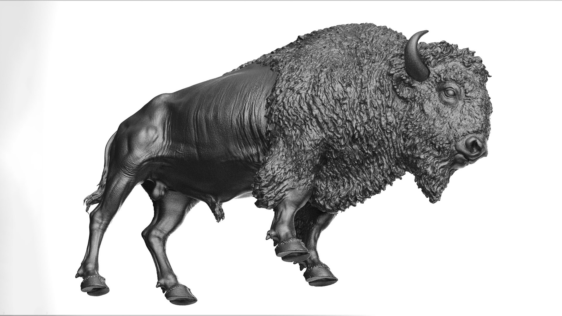 3D Bison - 3D Sculpting - TurboSquid 2315302