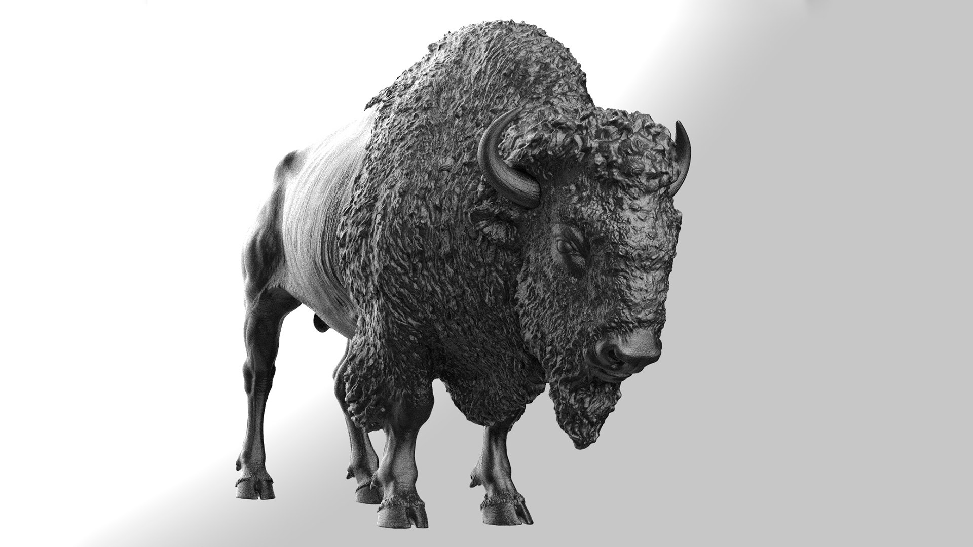3D Bison - 3D Sculpting - TurboSquid 2315302