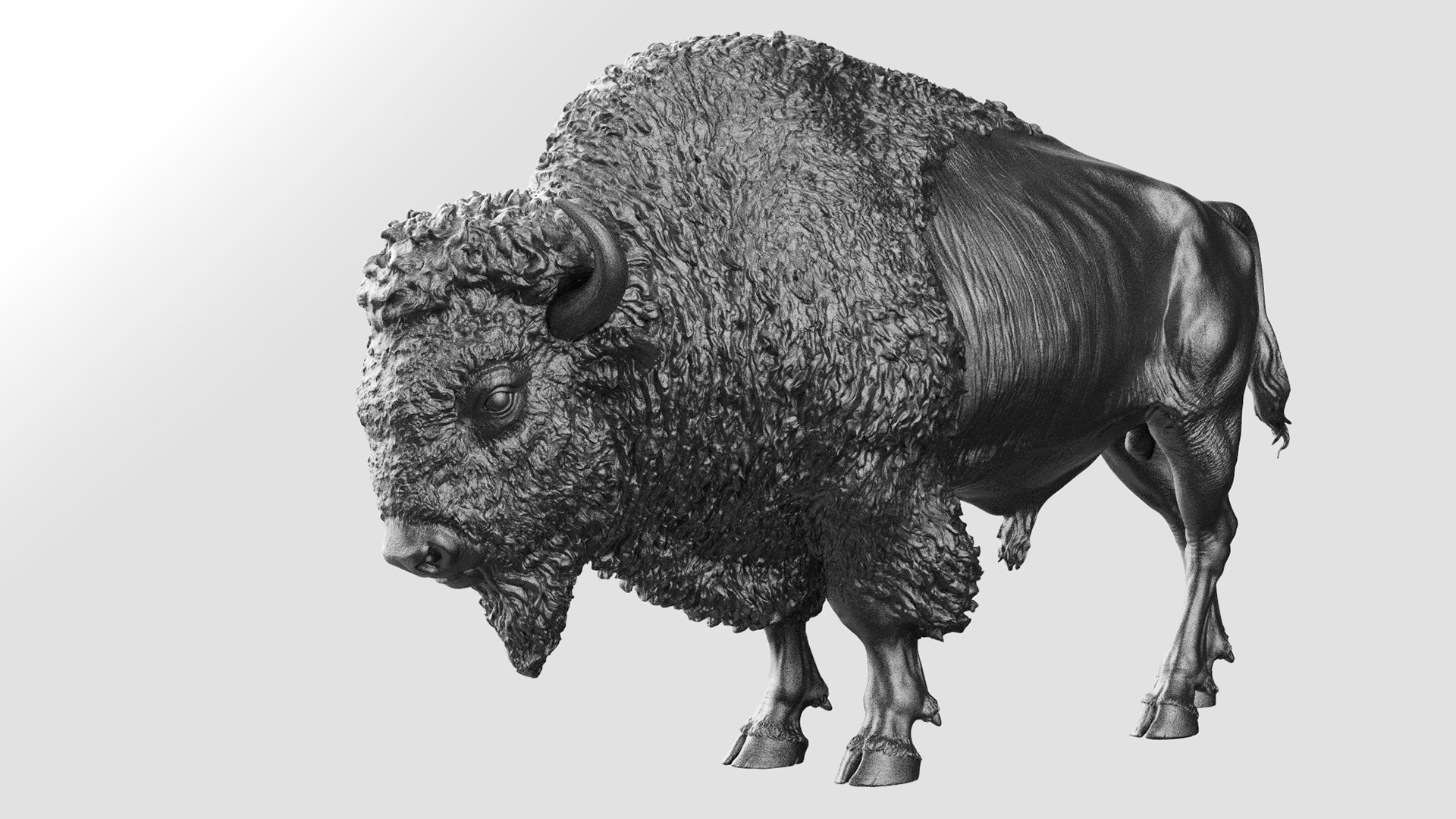 3D Bison - 3D Sculpting - TurboSquid 2315302