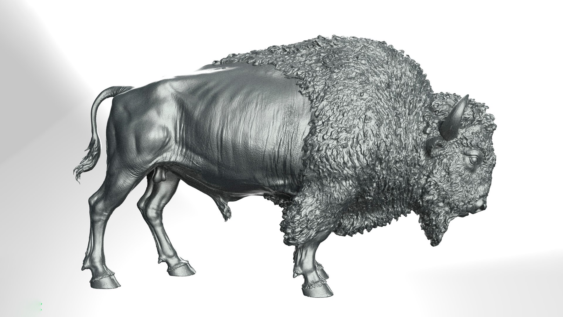 3D Bison - 3D Sculpting - TurboSquid 2315302
