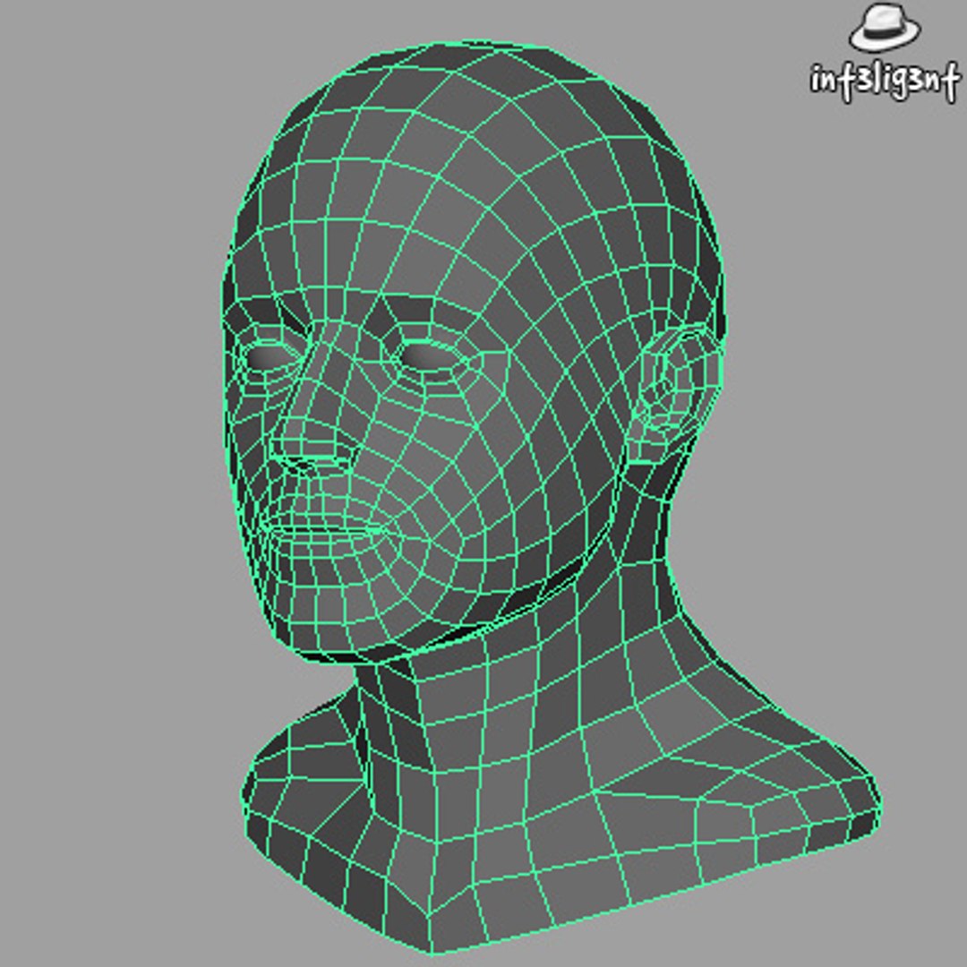3d Model Human Head
