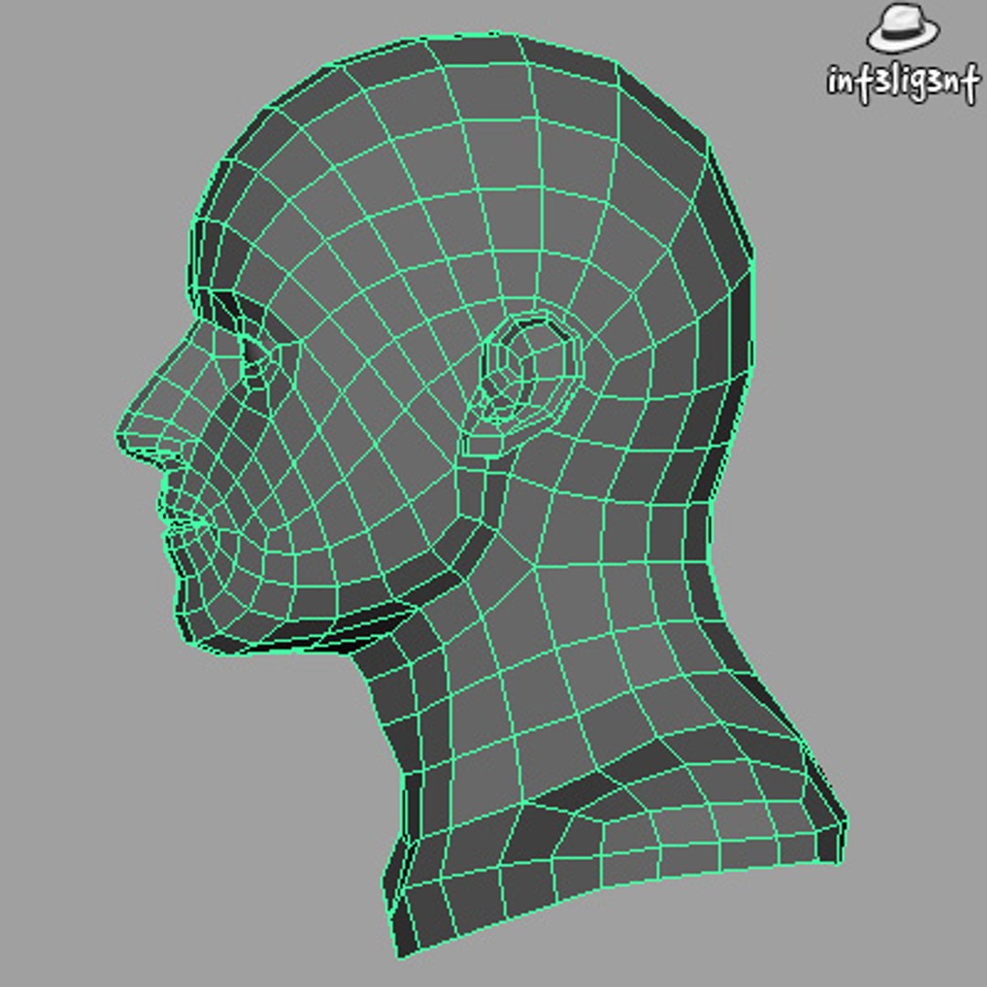 3d Model Human Head