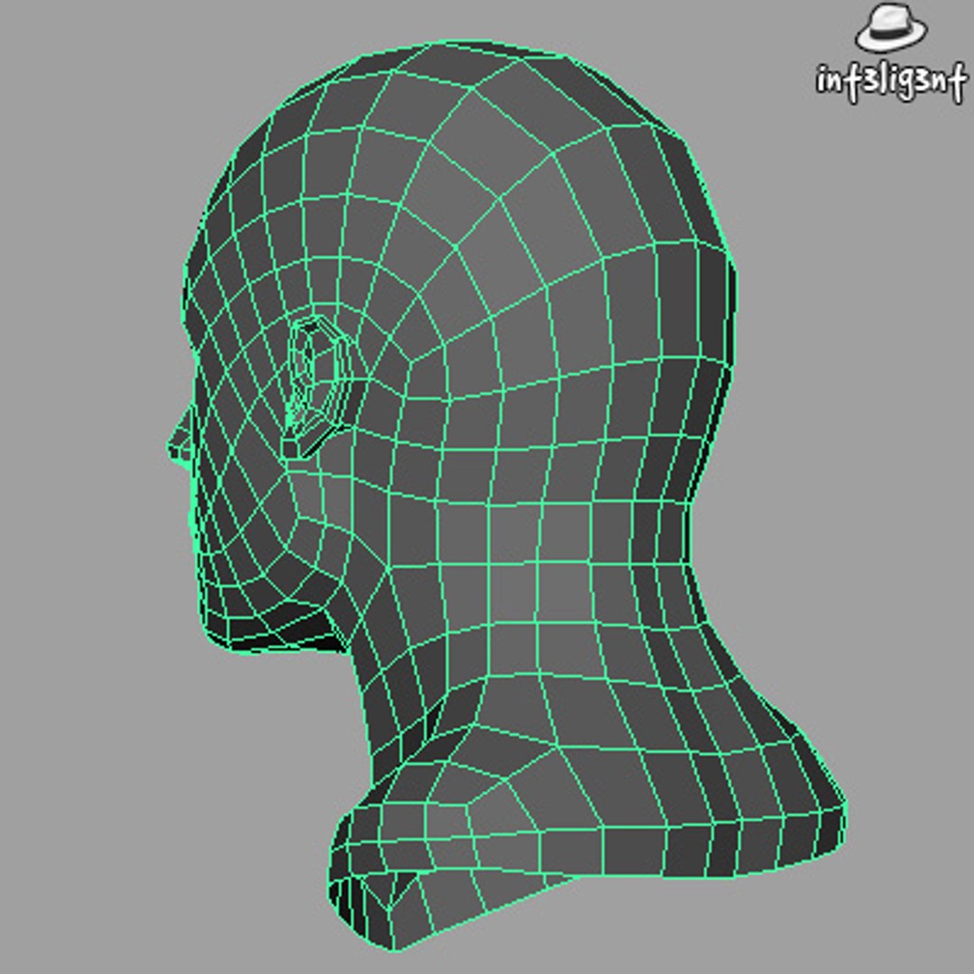 3d Model Human Head