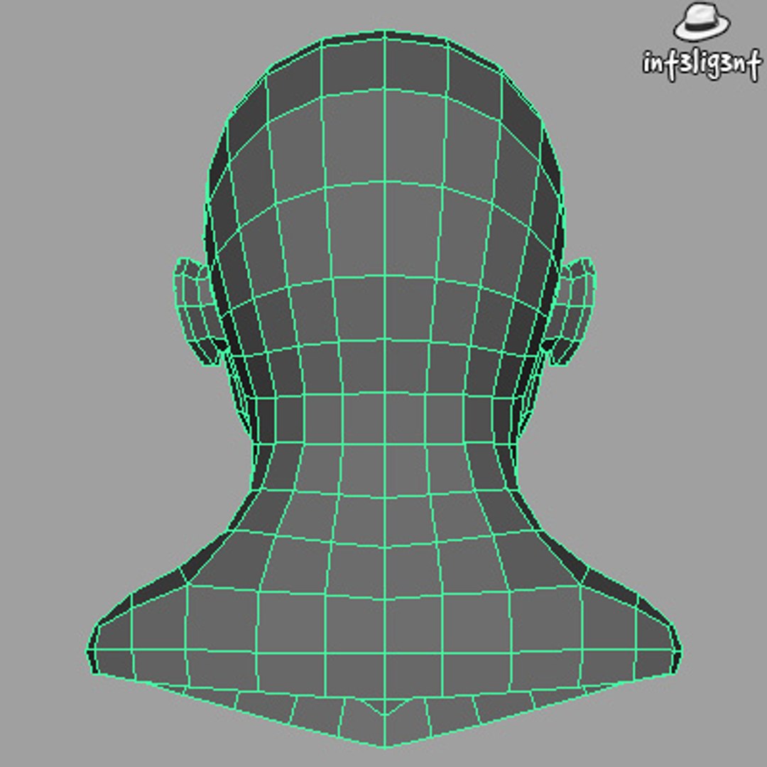3d Model Human Head