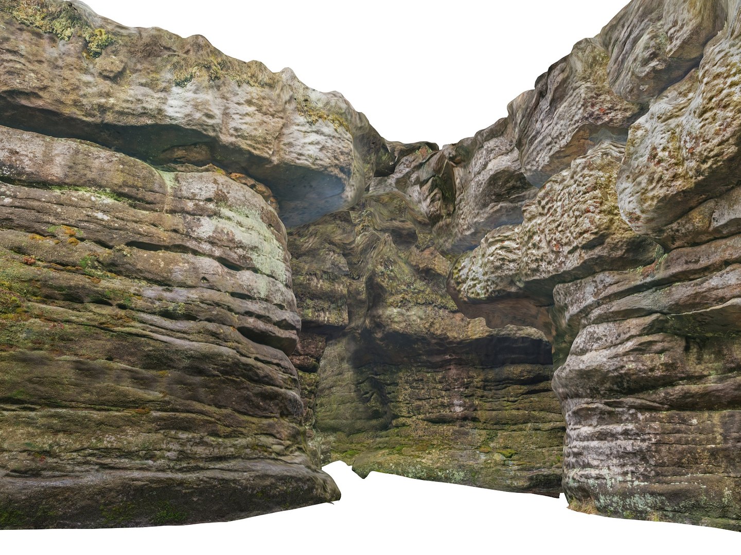 3D Forest Rock Cliff 16k Model - TurboSquid 1179685