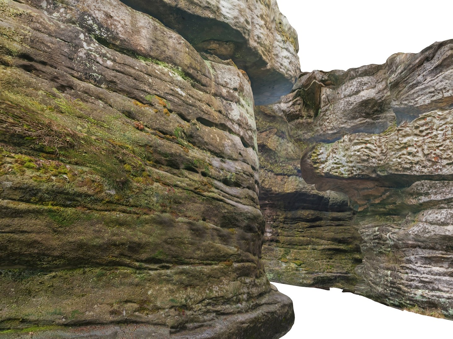 3D Forest Rock Cliff 16k Model - TurboSquid 1179685