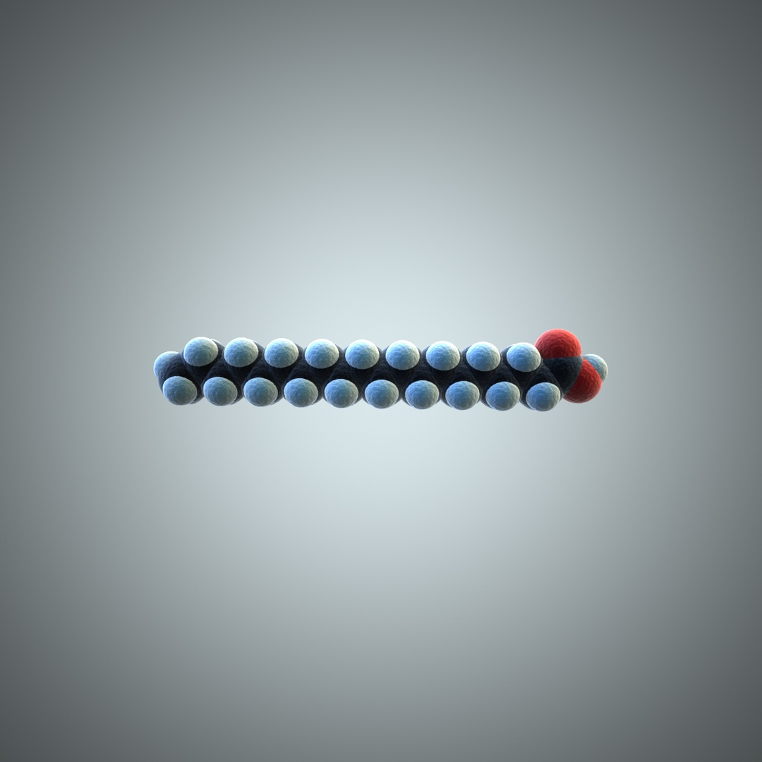 formula arachidic acid 3d model