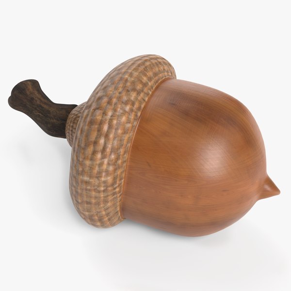 3D Acorn Models | TurboSquid