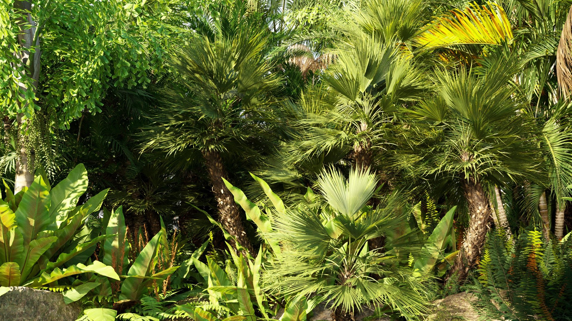 3D Collection 10 - Palm Garden 3d Model - TurboSquid 2138032