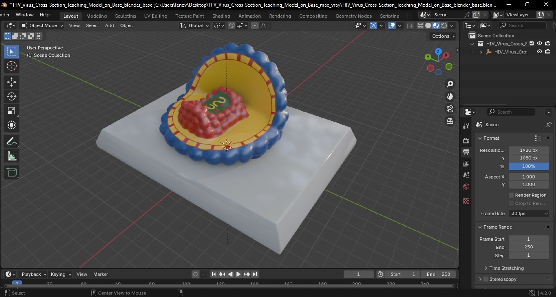 HIV Virus Cross-Section Teaching Model On Base 3D Model - TurboSquid ...