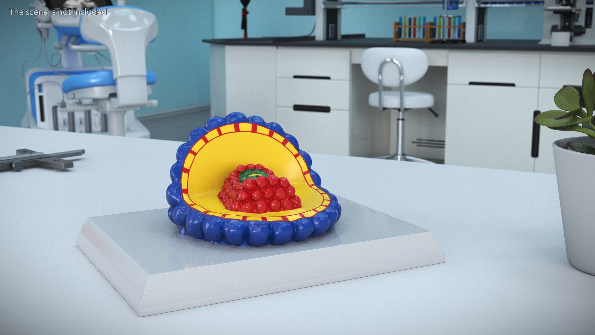 HIV Virus Cross-Section Teaching Model On Base 3D Model - TurboSquid ...