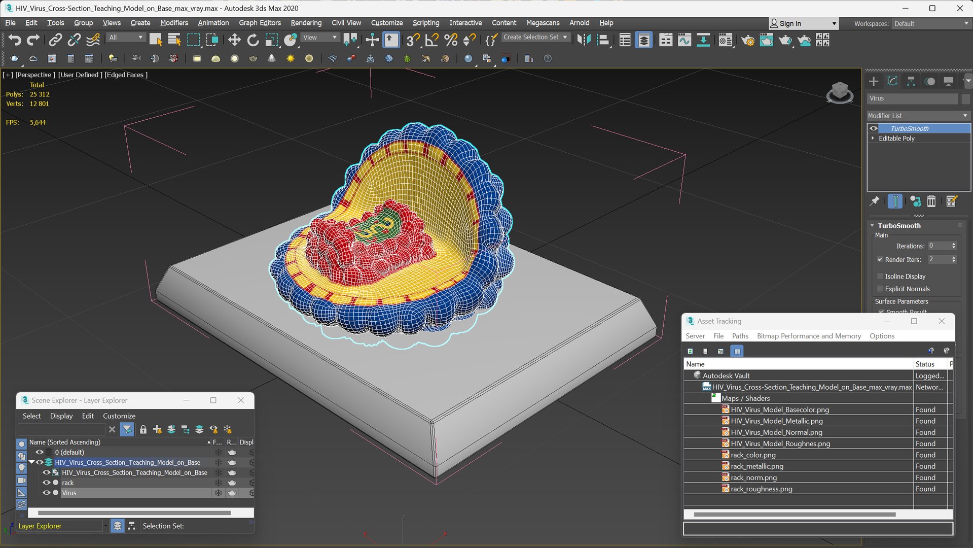 HIV Virus Cross-Section Teaching Model On Base 3D Model - TurboSquid ...