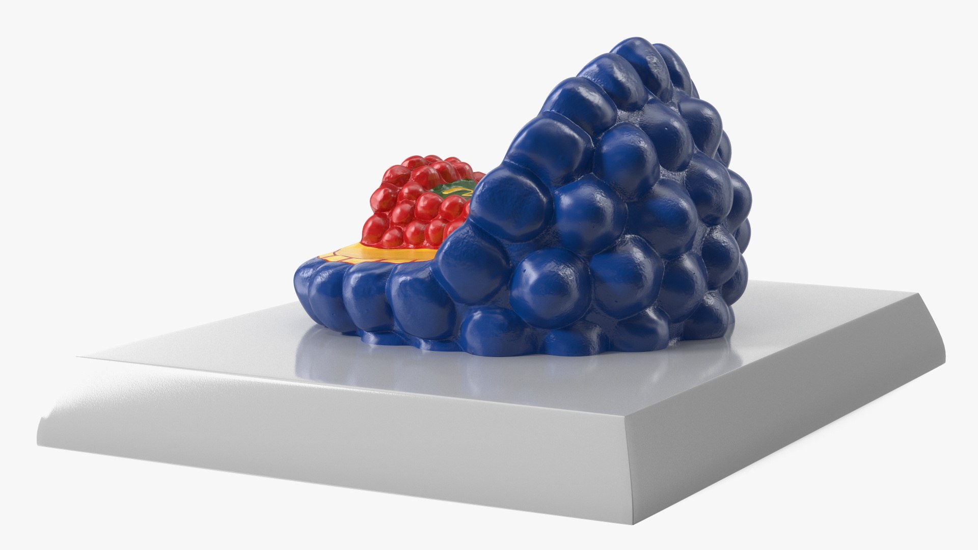 HIV Virus Cross-Section Teaching Model On Base 3D Model - TurboSquid ...