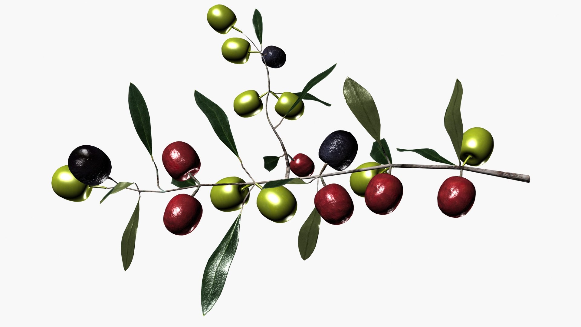 Olive Branch 3D Model - TurboSquid 2208445