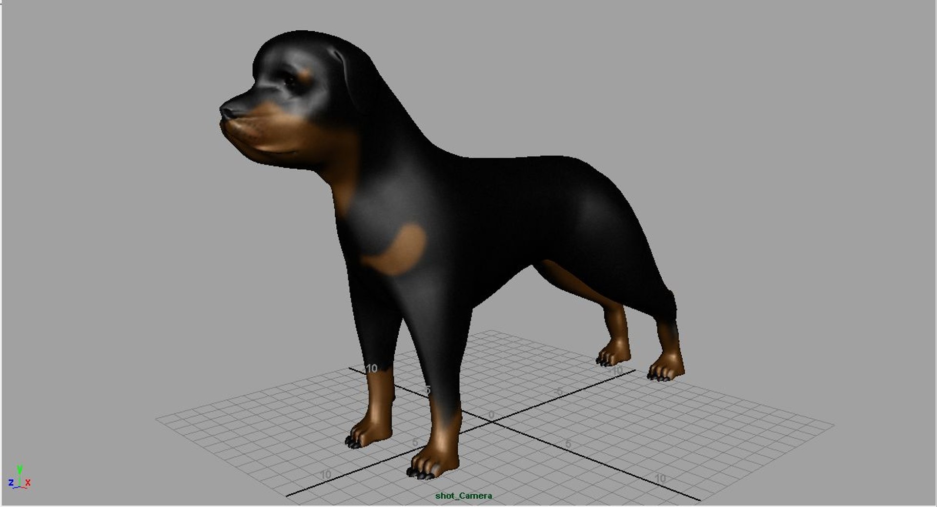 rottweiler 3d model