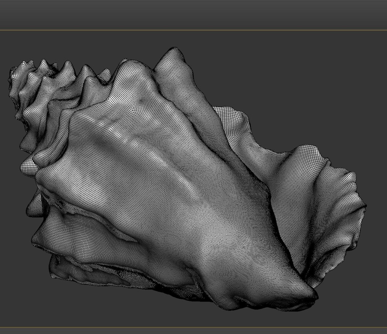 Shell Strombus Modeled Model - TurboSquid 1443812