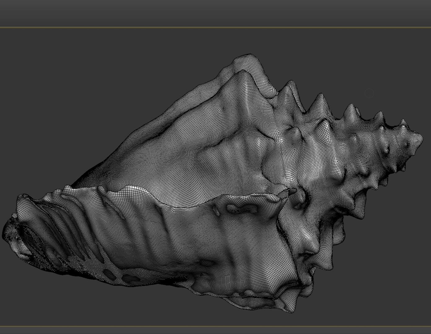 Shell Strombus Modeled Model - TurboSquid 1443812