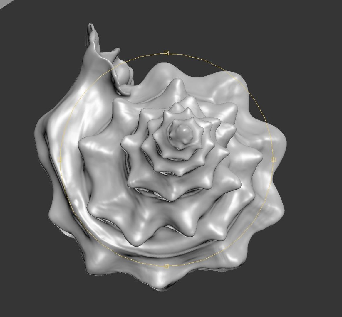 Shell Strombus Modeled Model - TurboSquid 1443812