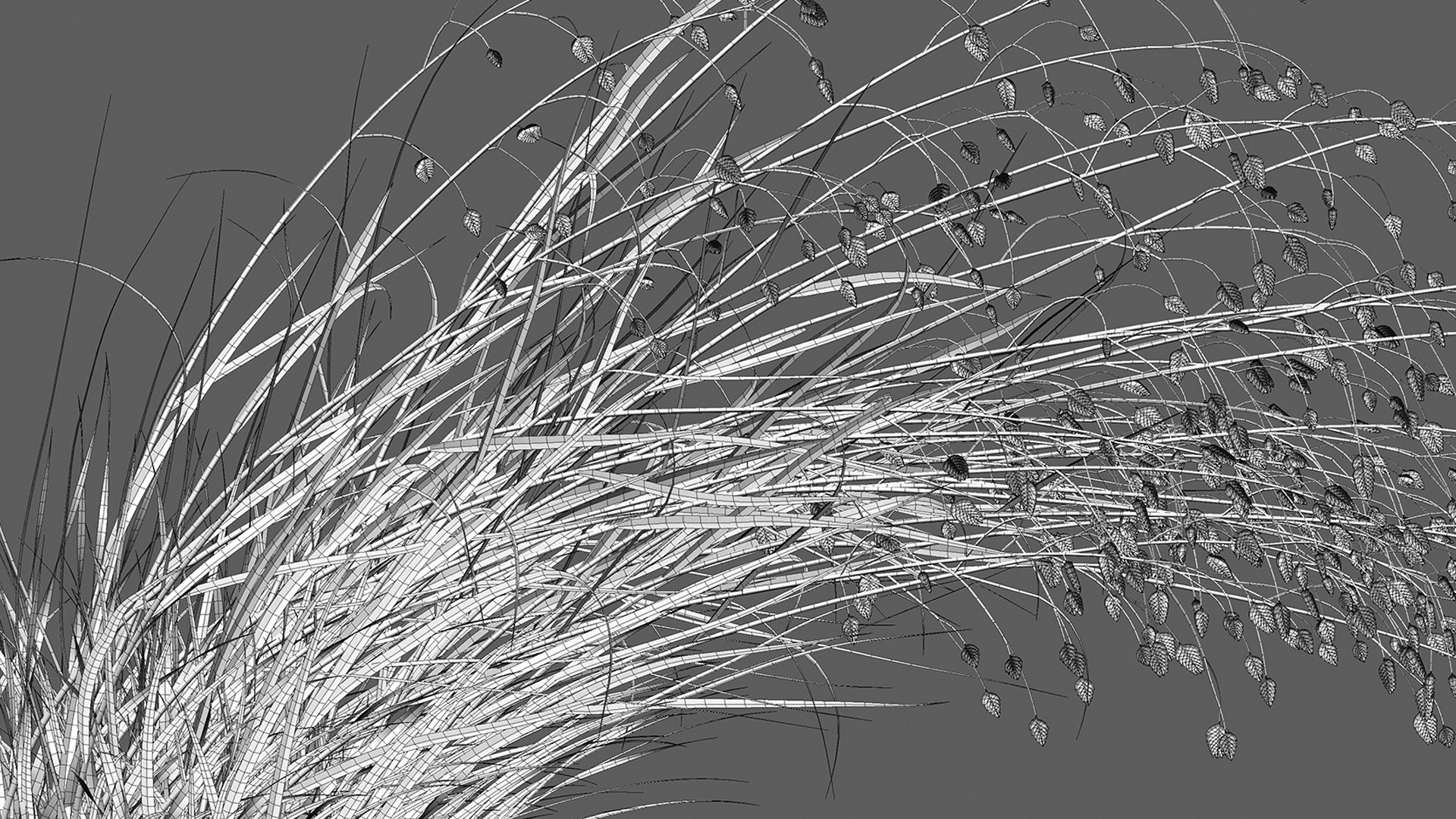 Briza Media - Quaking Grass 04 3D Model - TurboSquid 1974344