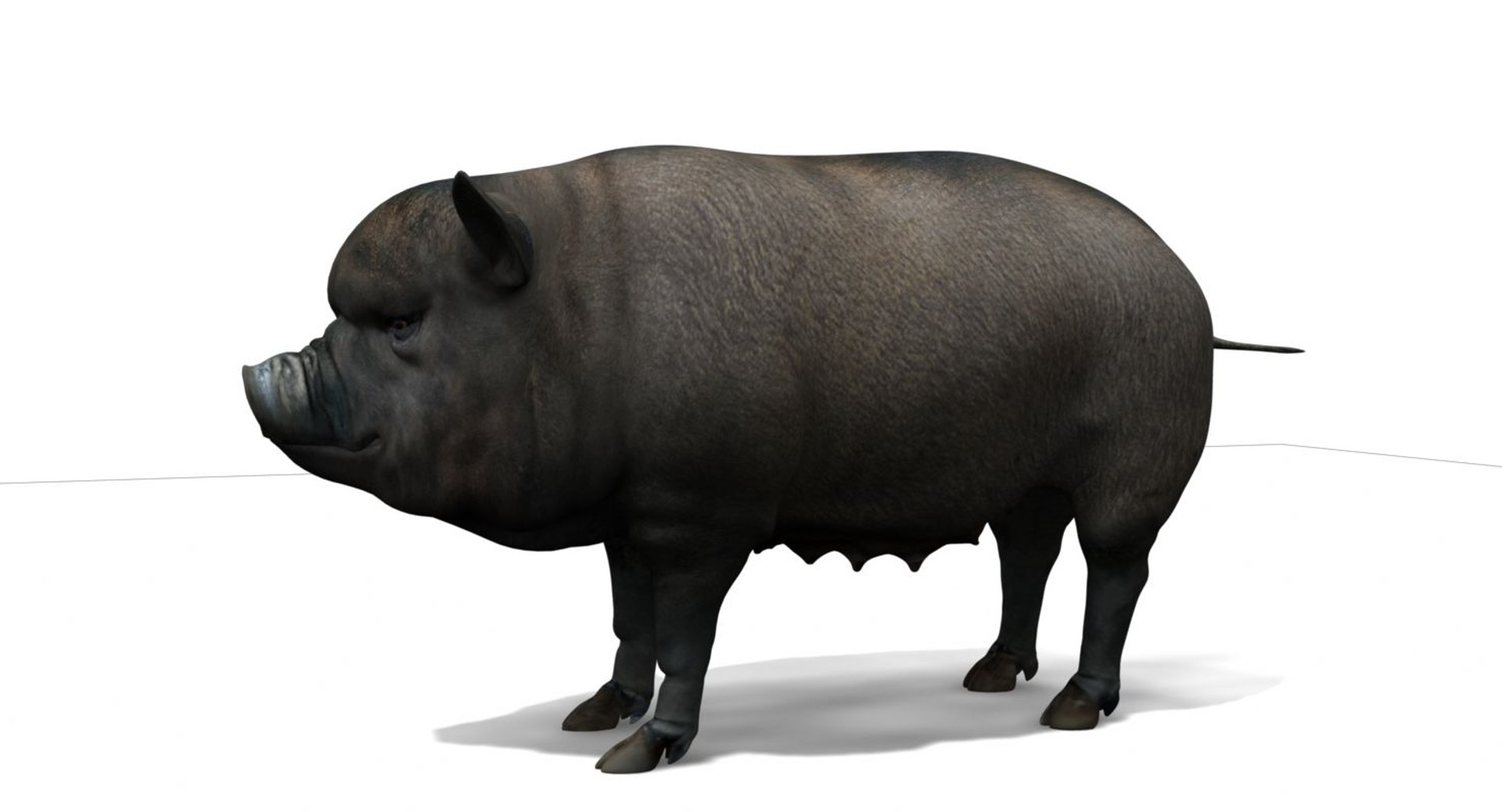 Pig Model - TurboSquid 1436206