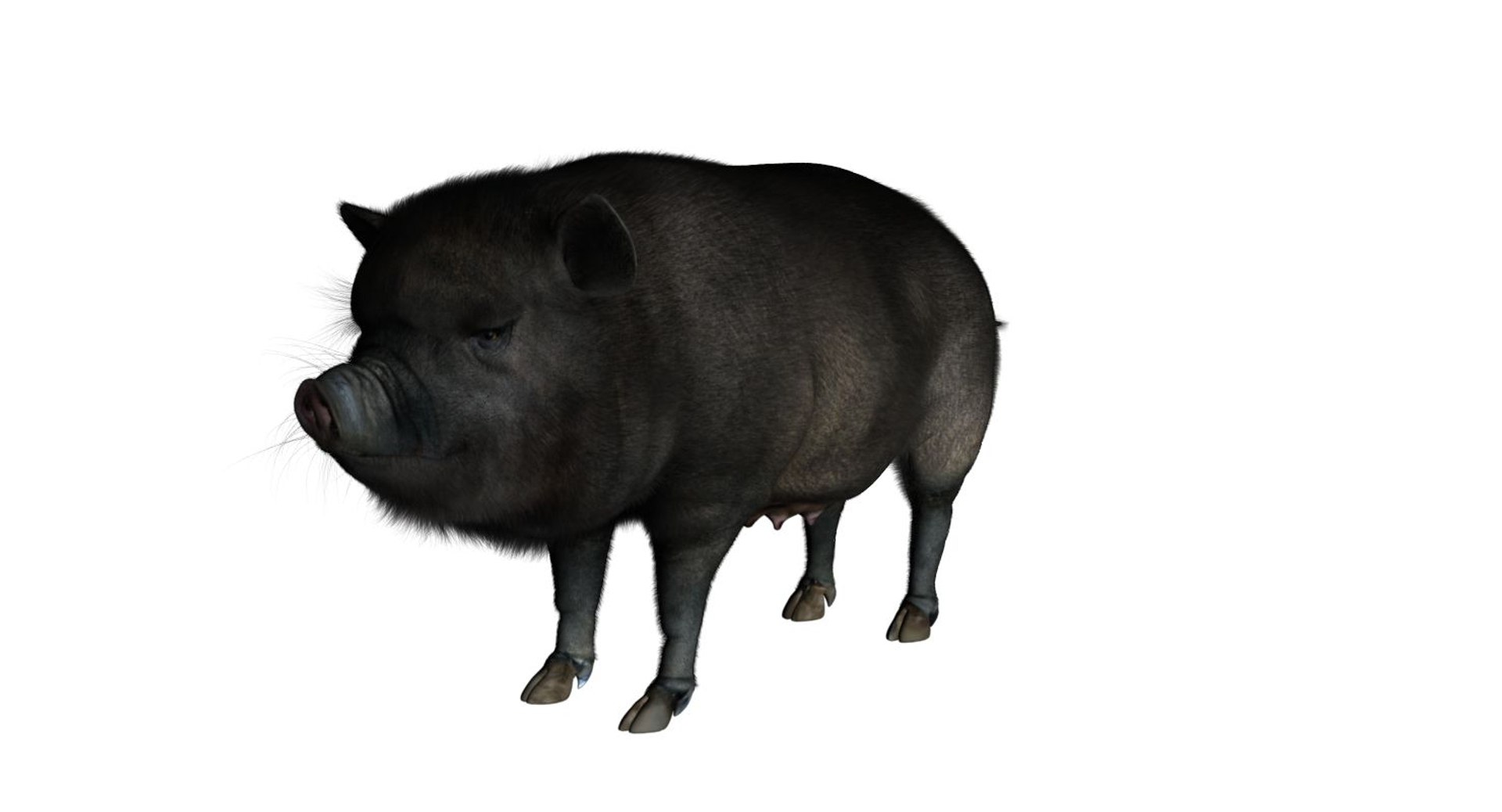 Pig Model - TurboSquid 1436206
