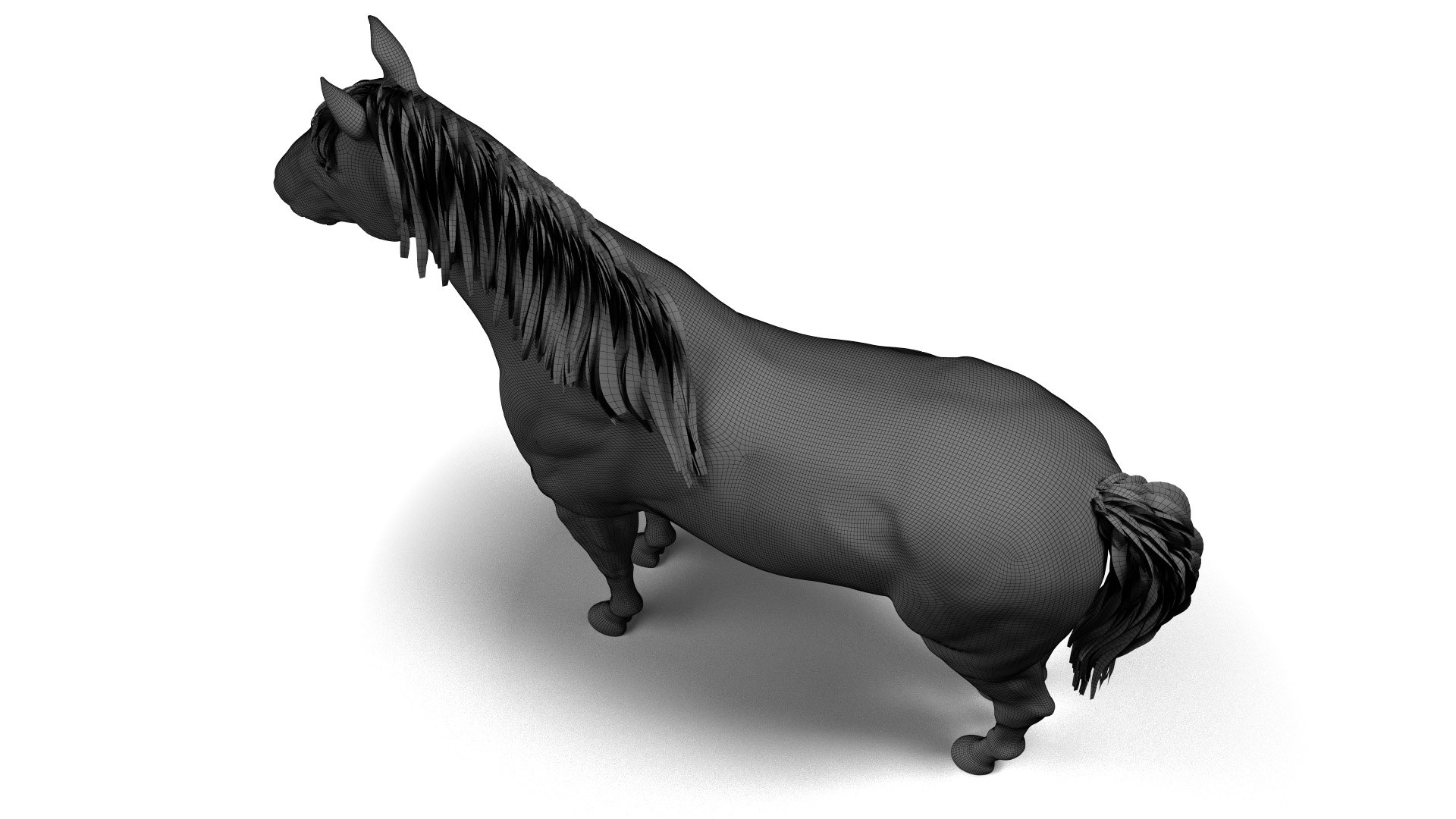 Full Horse Anatomy Static model - TurboSquid 1933397