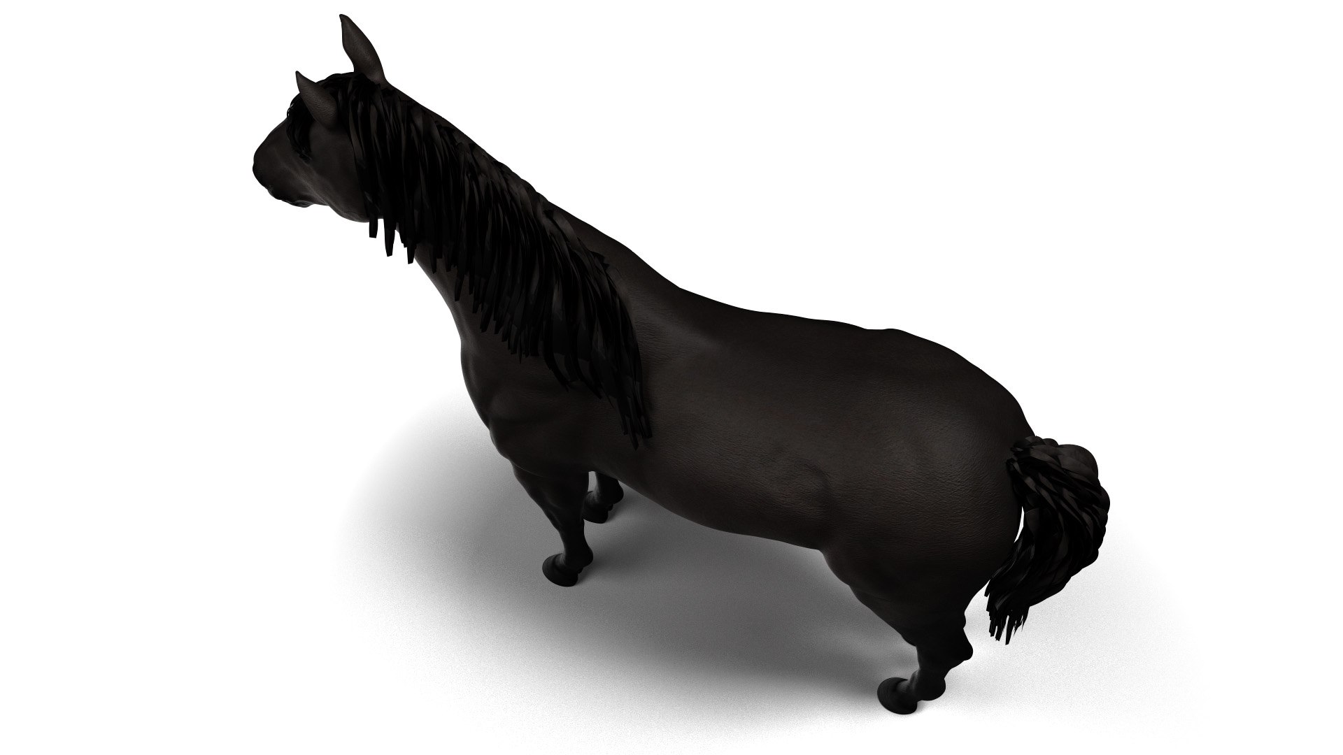Full Horse Anatomy Static model - TurboSquid 1933397