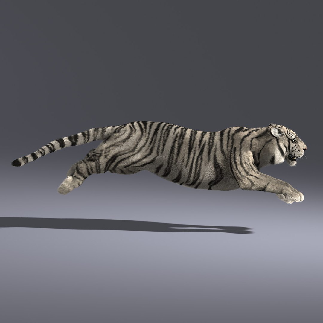 Maya Tigers 2 Fur