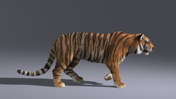 maya tigers 2 fur