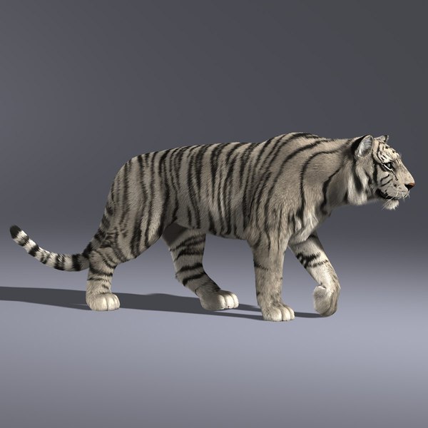 maya tigers 2 fur
